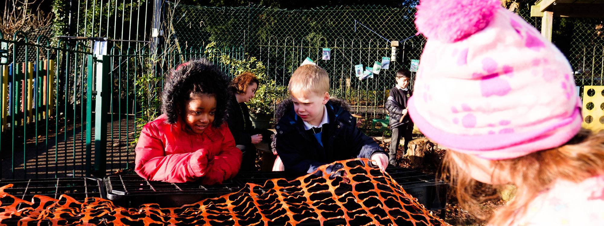 School Admissions - Whyteleafe School